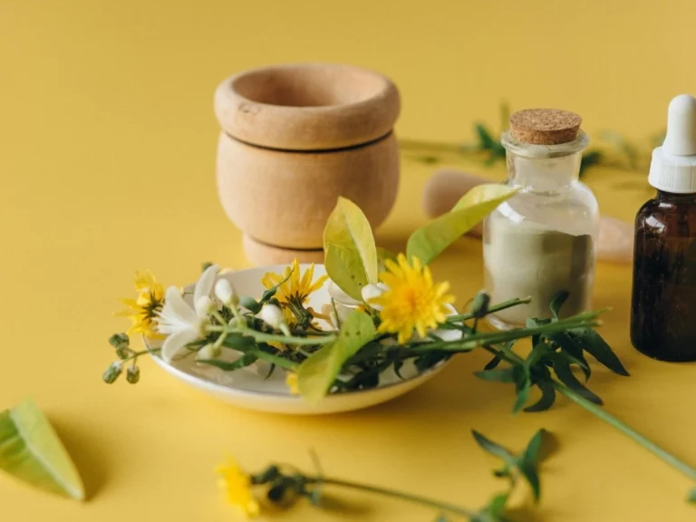 Herbs, fruits, and other natural remedies for anemia - Health Loft